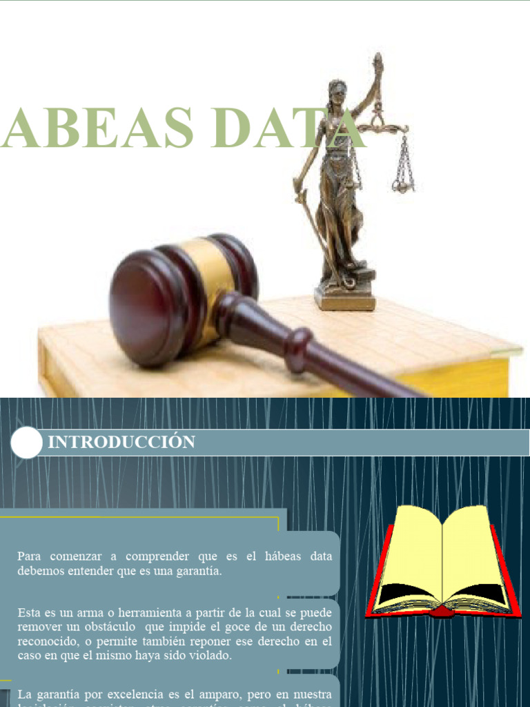 Habeas Data | PDF | Constitución | Justicia