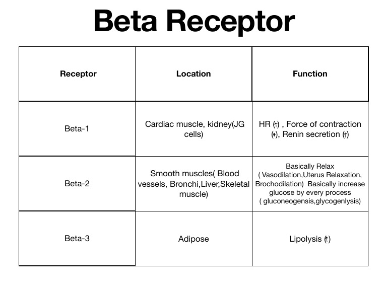 Beta Receptor | PDF