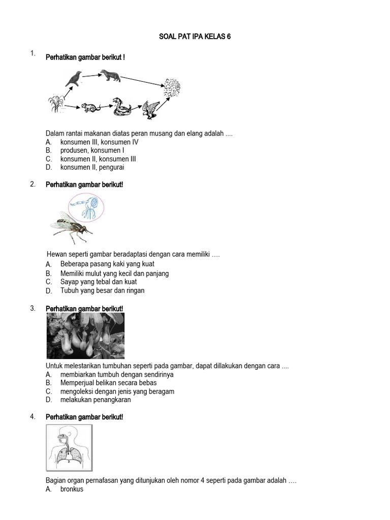 Soal Pat Ipa Kelas 6 | PDF