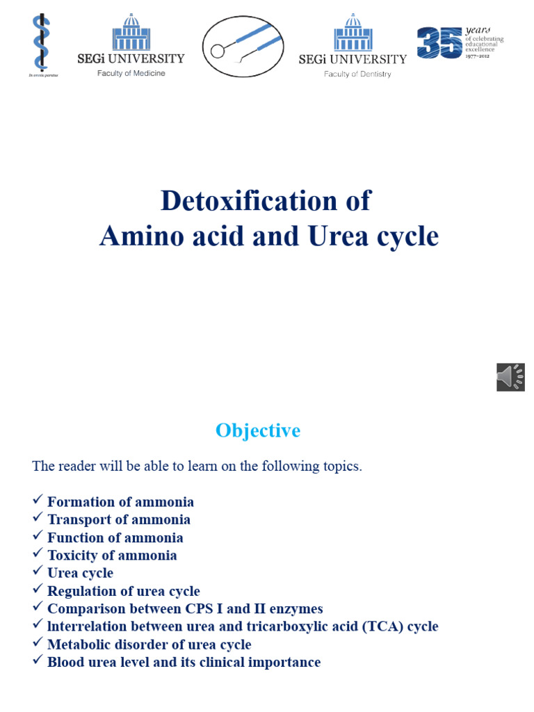 Detoxification of Amino Acid and Urea Cycle | PDF | Citric Acid Cycle ...