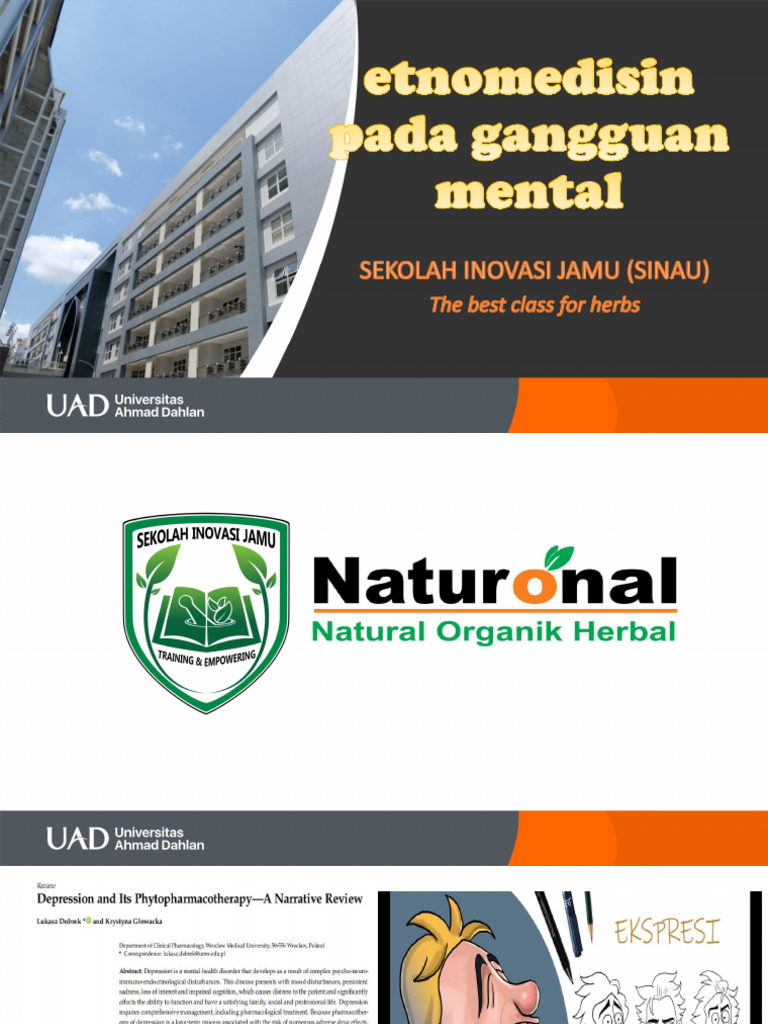 Etnomedisin Gangguan Mental | PDF | Major Depressive Disorder ...