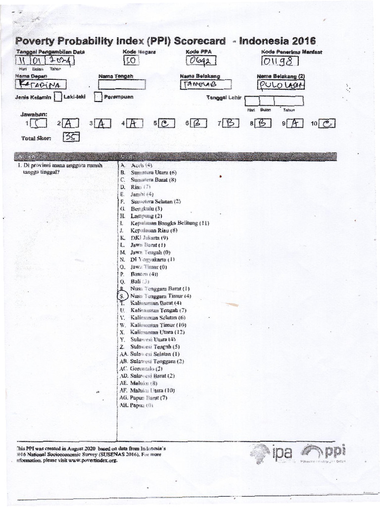 Io064201198 Ppi | PDF