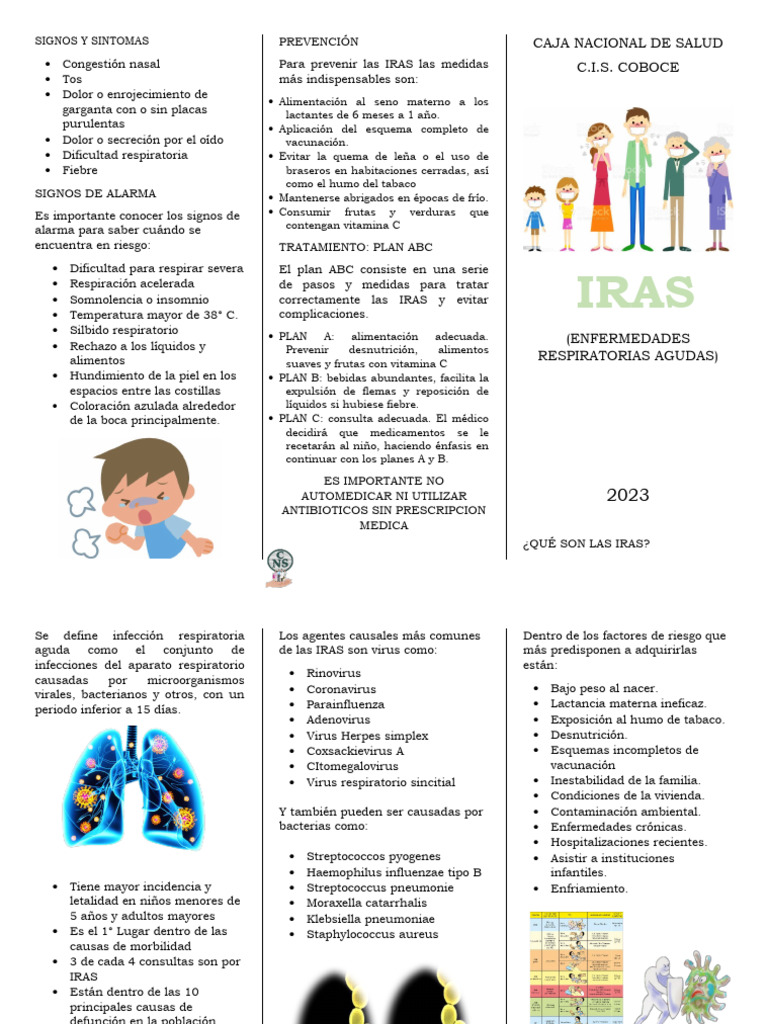 Triptico Iras | PDF | Virus | Infección