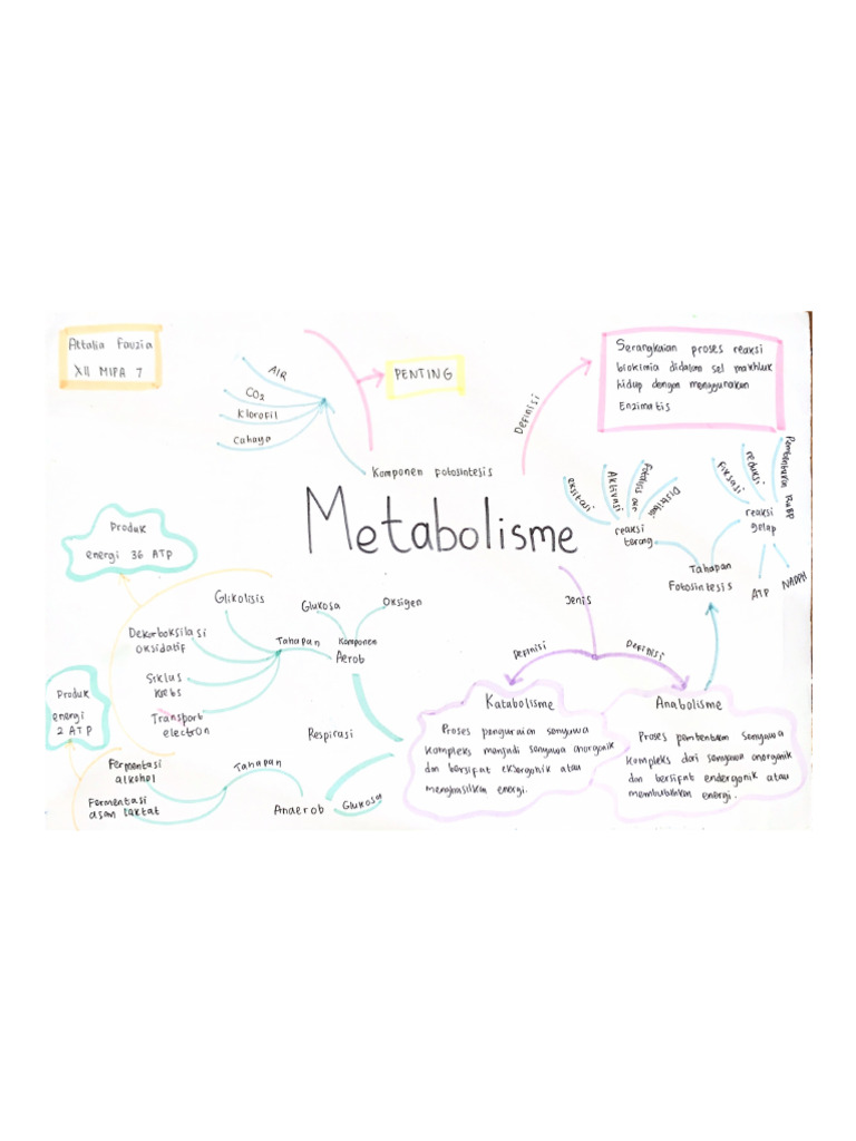 Mind Map Metabolisme | PDF
