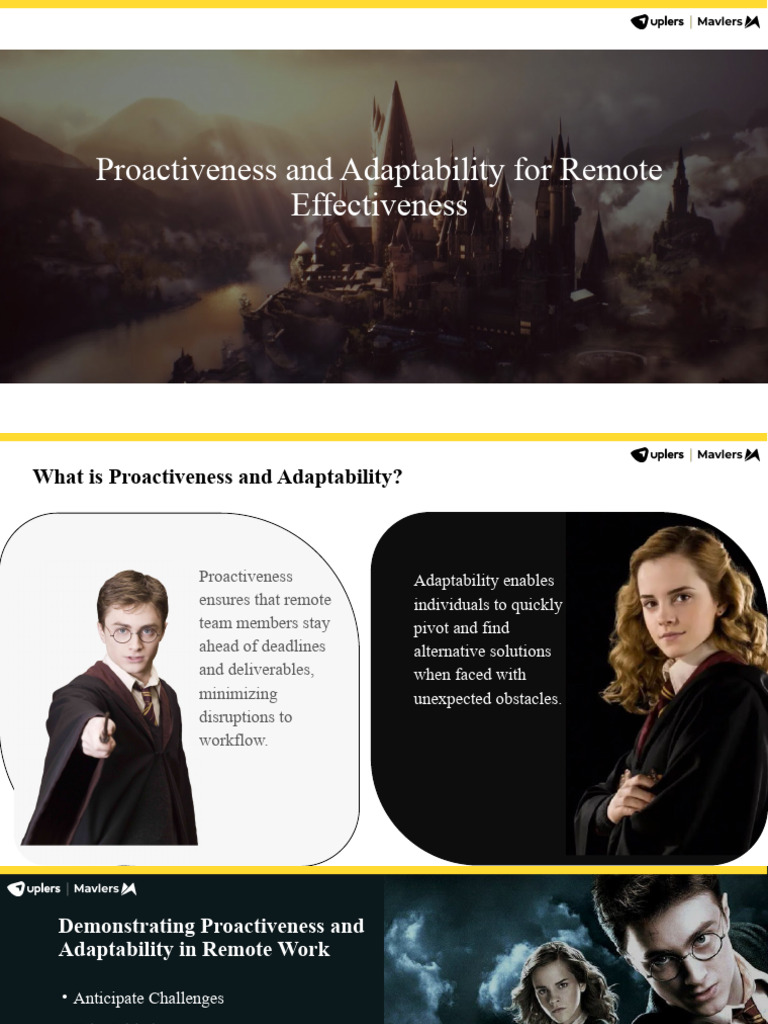 Proactiveness and Adaptabilityv 1 0 | PDF | Agile Software Development ...