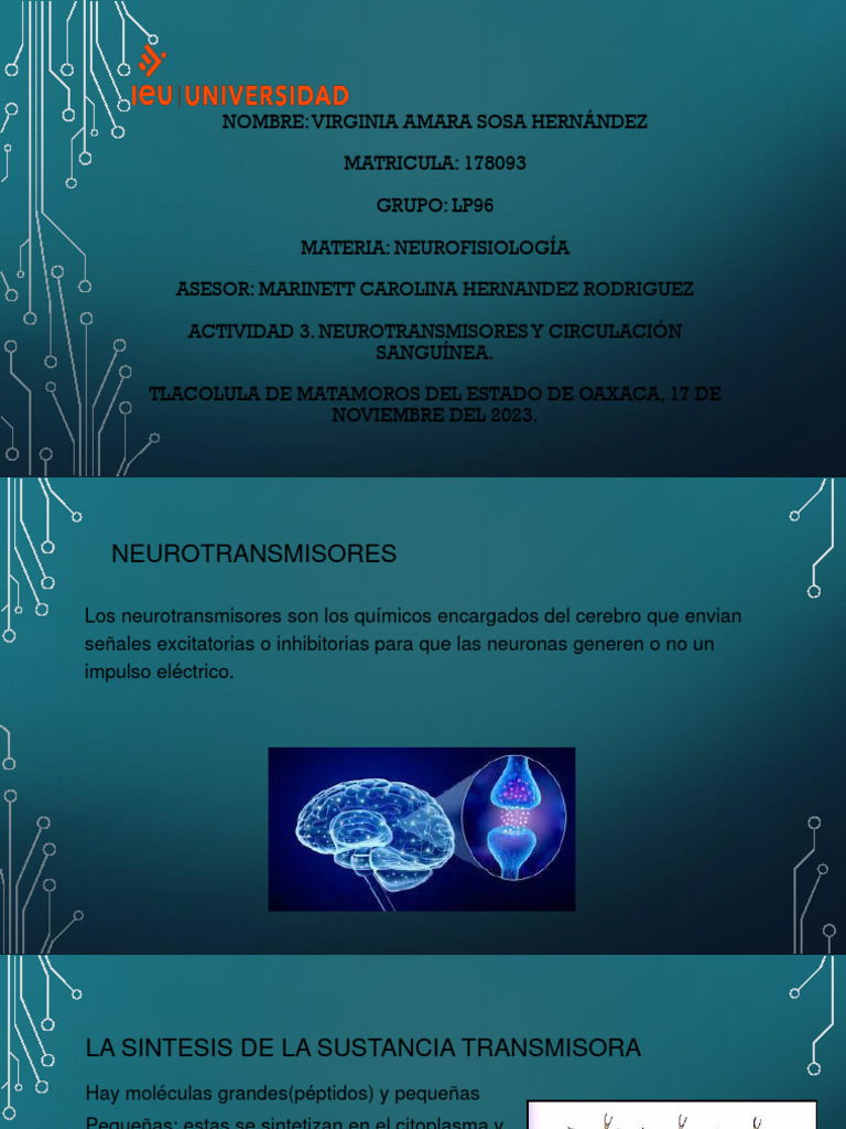 Act3 NF | PDF | Sinapsis | Sistema circulatorio