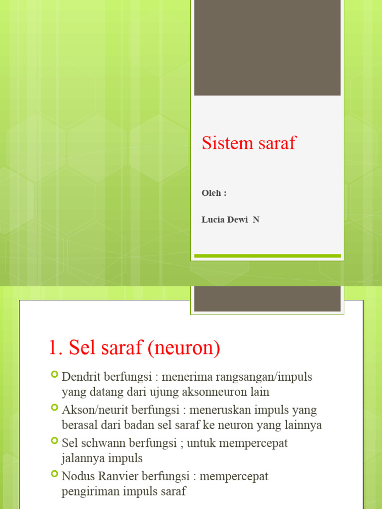 Struktur dan Fungsi Sistem Saraf | PDF