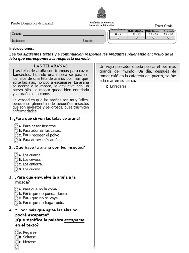 Prueba Diagnóstica 3º Español (2011) | PDF | Telaraña | Araña