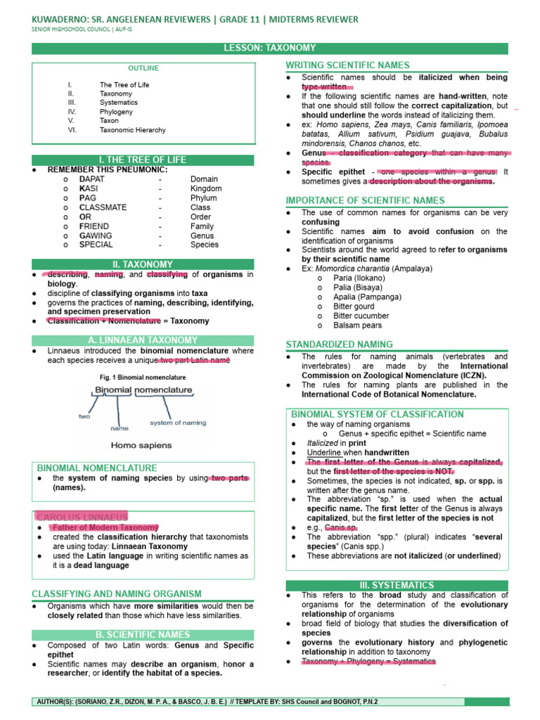 TAXONOMY (Updated) | PDF | Bacteria | Taxonomy (Biology)