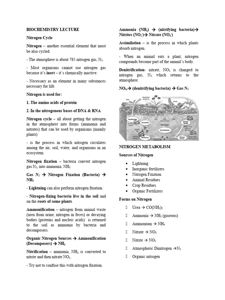 BIOCHEMISTRY LECTURE Notes | PDF | Rna | Dna