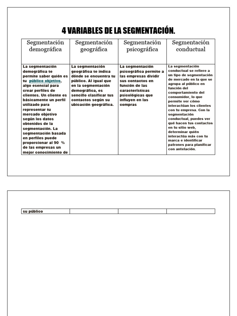 4 Variables de La Segmentación | PDF