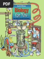 STP Mathematics 2A | PDF