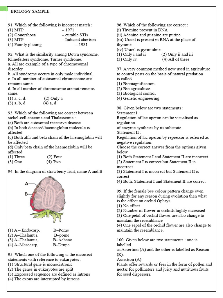 BIOLOGY SAMPLE | PDF | Ploidy | Zygosity