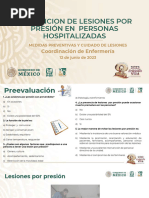 Manual LPP 2022 v.3 Final | PDF | Piel | Hueso