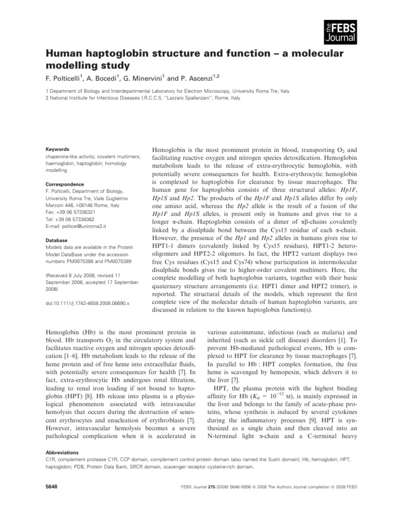 The FEBS Journal - 2008 - Polticelli - Human Haptoglobin Structure and ...