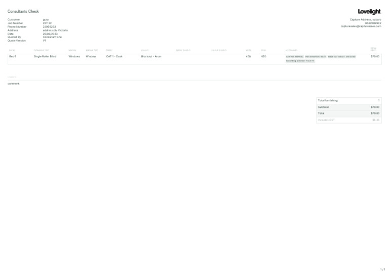 Consultant Check - Capture Store (Test) - 221122 - V1 | PDF