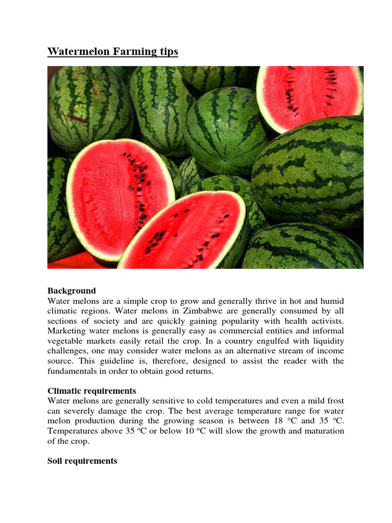 Watermelons | PDF | Watermelon | Soil