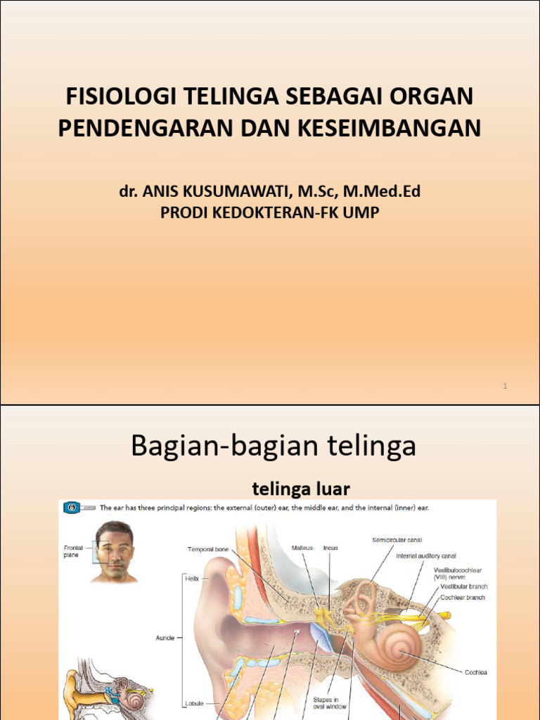 2023 PPT Fisiologi Telinga | PDF