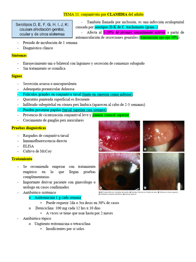 CLAMIDIA y VIRAL | PDF | Inmunología | Microbiología