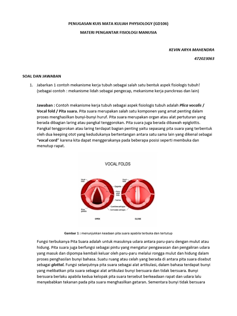 Mekanisme Pita Suara | PDF