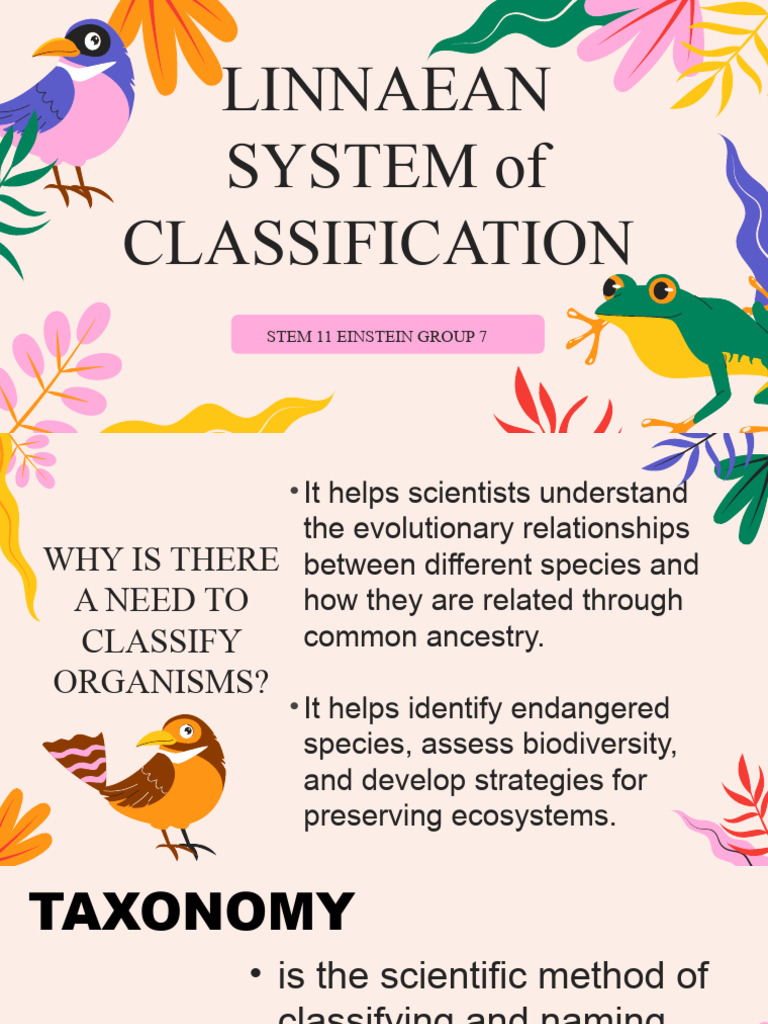 Biology Subject For Pre K Abilities and Characteristics of Animals ...