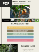Layers of The Rainforest: Emergent | PDF