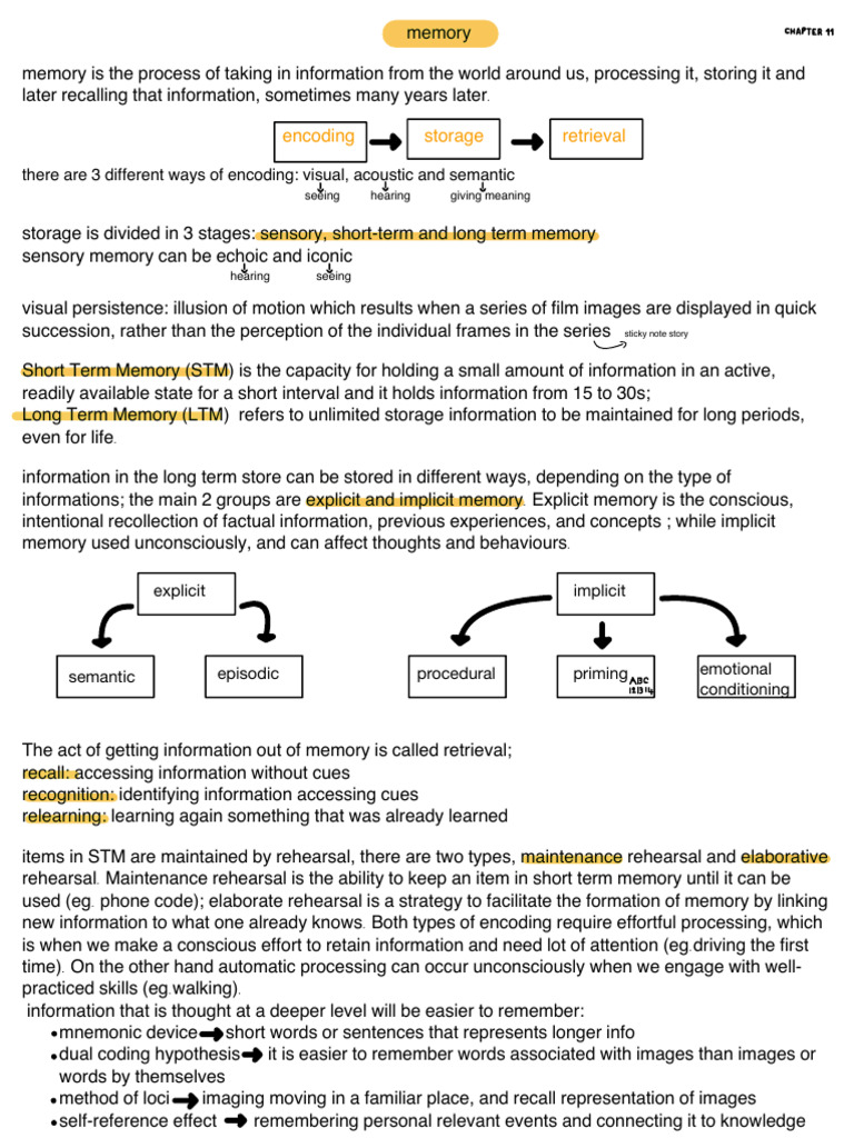 Ap Psychology Notes - by Aurora - ) | PDF | Senses | Perception