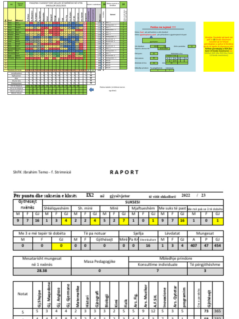 RAPORT | PDF