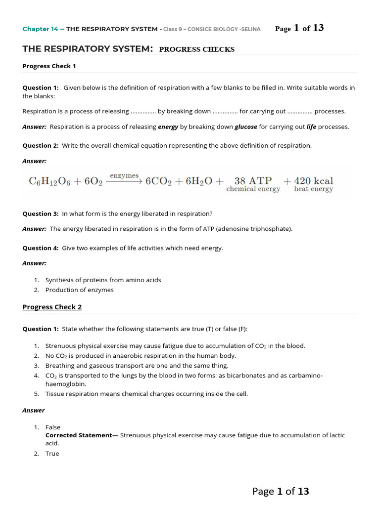 Chapter 14 - THE RESPIRATORY System | PDF | Respiratory Tract ...