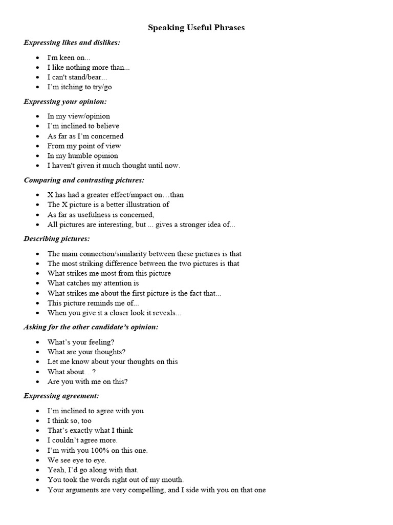 Speaking Useful Phrases CAE | PDF