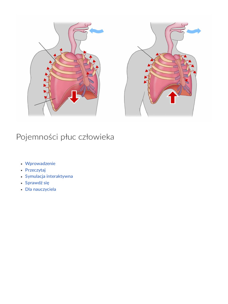 Pojemnosci Pluc Czlowieka | PDF