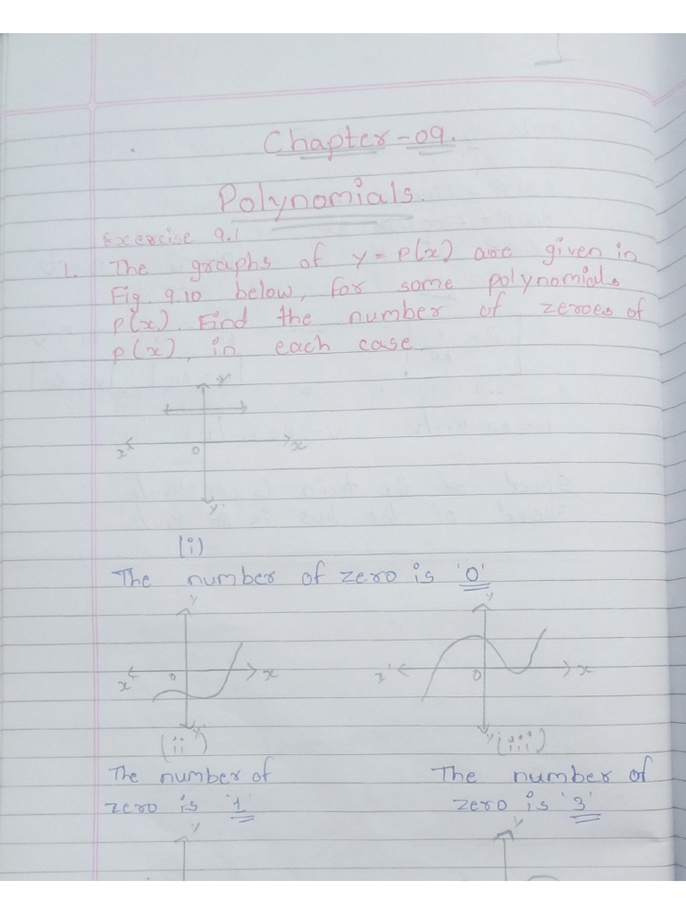 Polynomial Notes | PDF