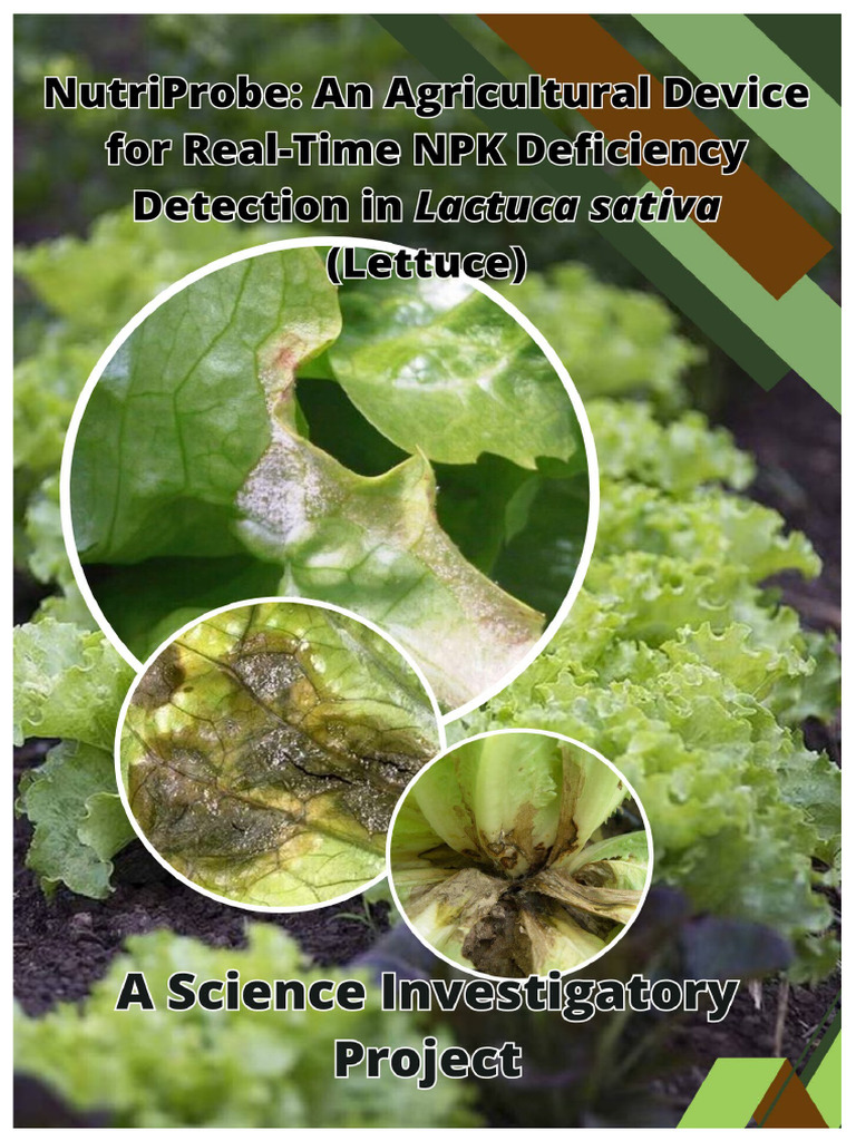 Table of Contents | PDF | Lettuce