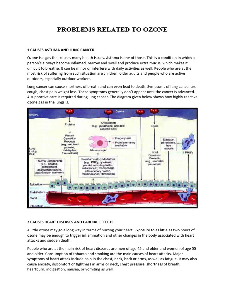 Ozone's Health and Environmental Risks | PDF | Ozone Depletion | Soil