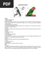 Pigeon Color Genetics and Breeding Chart | PDF | Dominance (Genetics ...