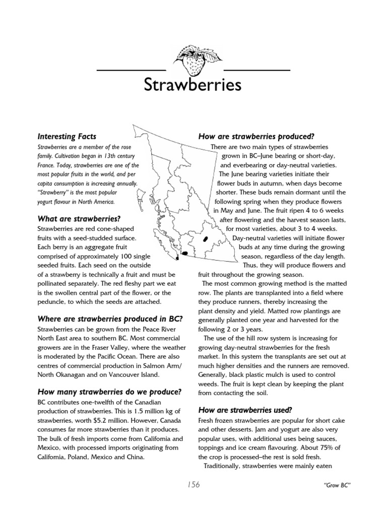 Strawberry Info Sheet | PDF | Strawberry | Fruit