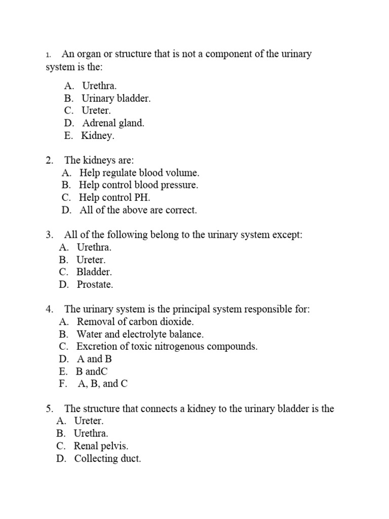 MCQ Urinary 1 | PDF | Kidney | Urinary System