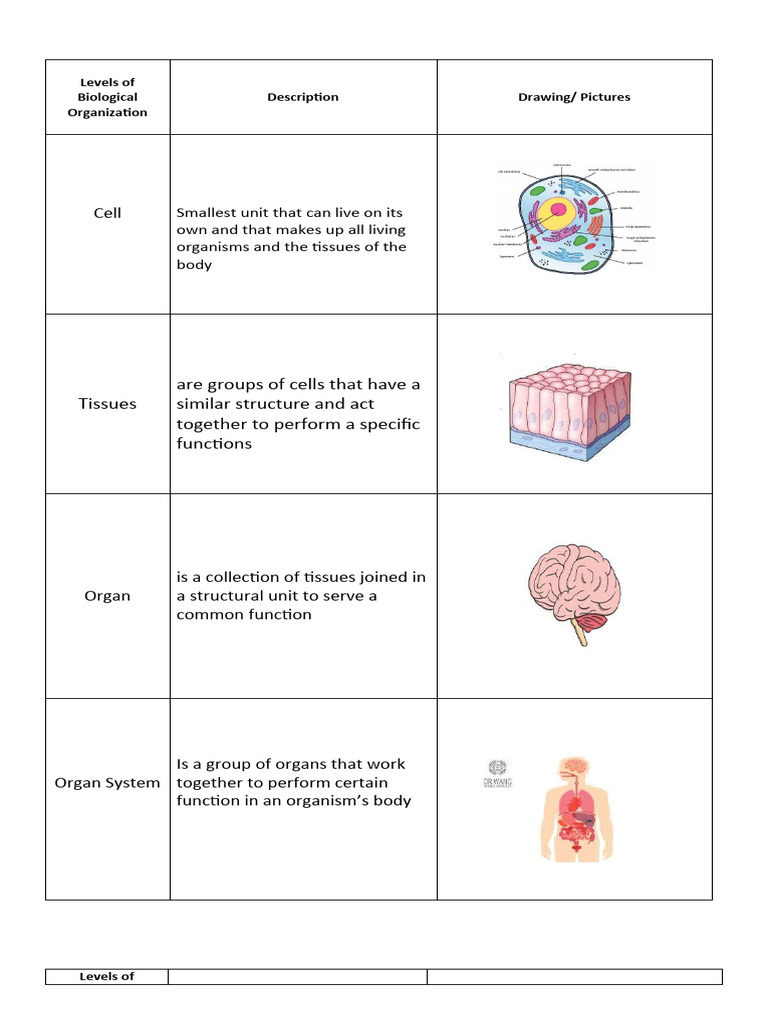 Science 8 | PDF