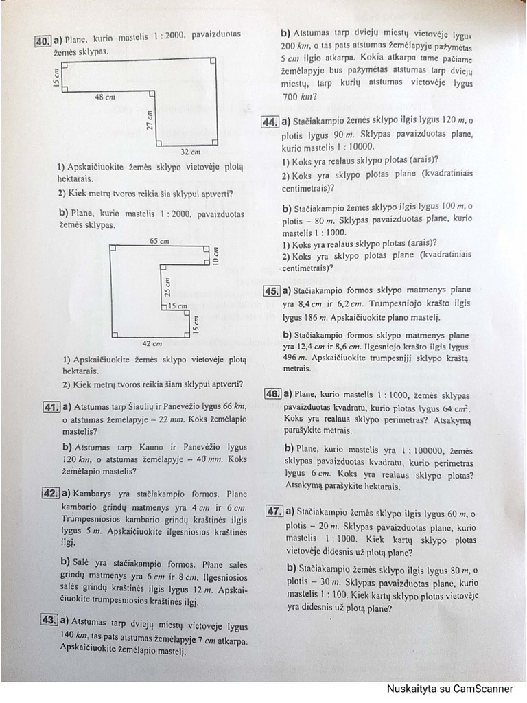 Tiesiog Proporc Ir Mastelis | PDF