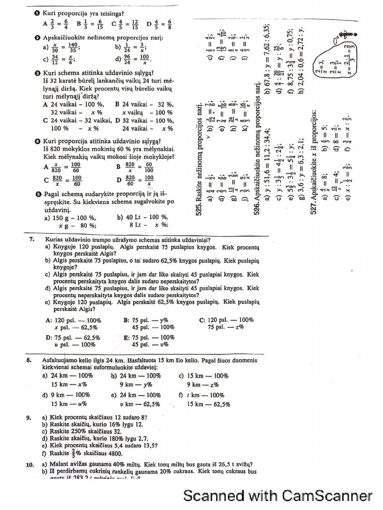Pagrindine Proporcijos Savybe | PDF