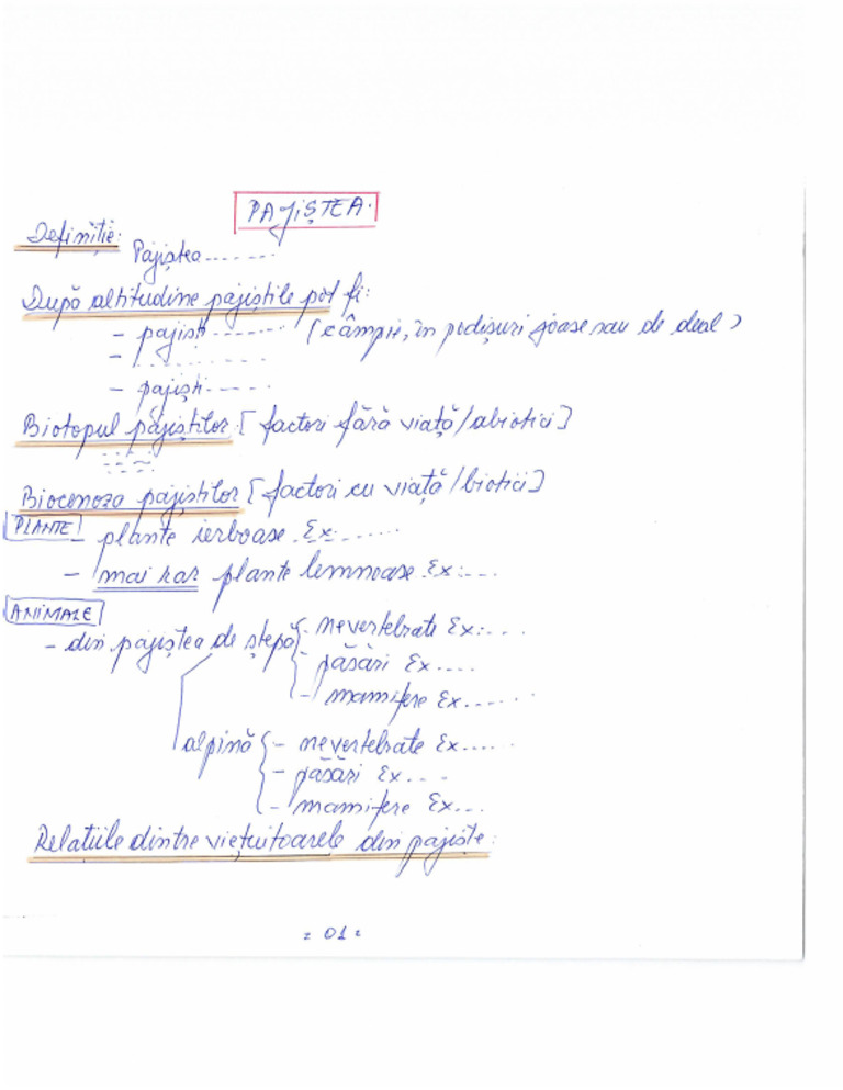 Pajistea - Schita Lectiei | PDF
