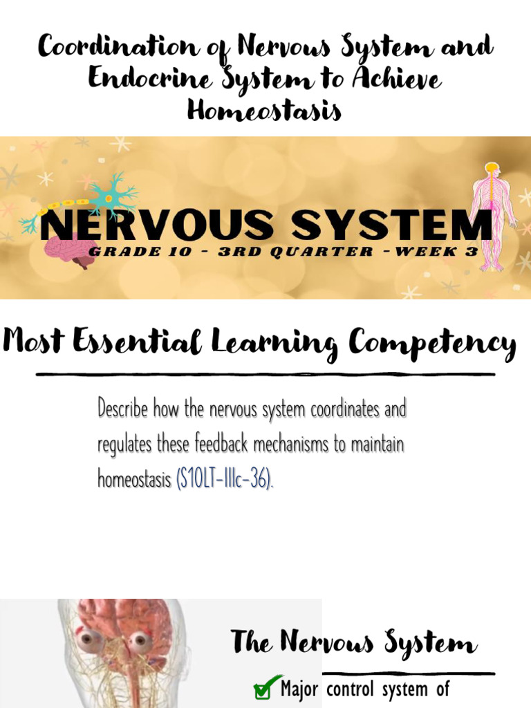 Week3 Coordination of Nervous System and Endocrine System To Achieve ...