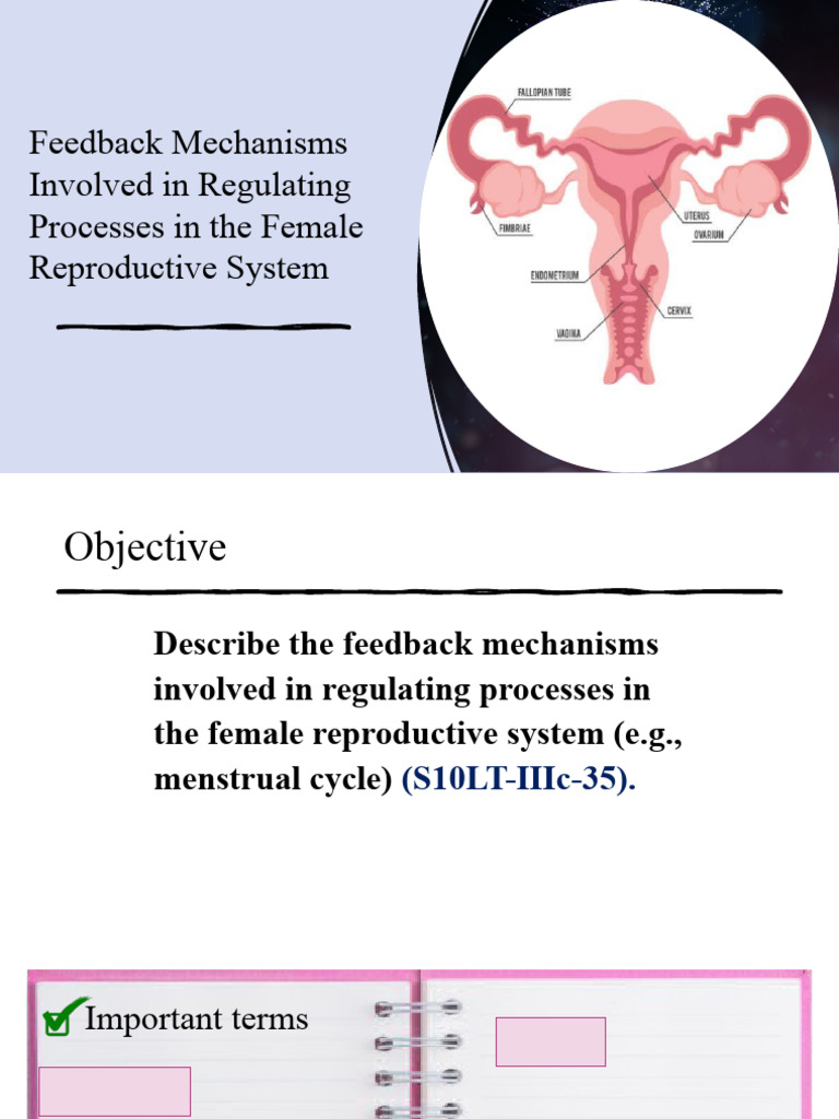 Week2 Feedback Mechanisms | PDF | Menstrual Cycle | Endocrine System