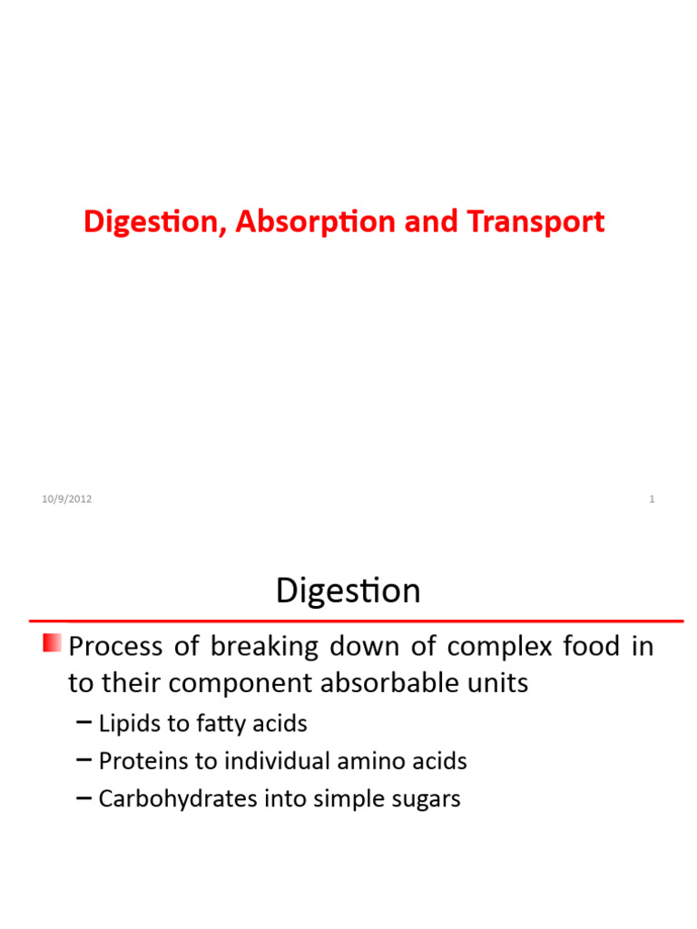 Digestion, Absorption and Transport | Download Free PDF | Digestion ...