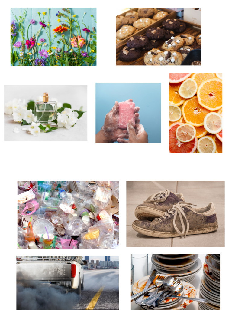 Sorting Good and Bad Smell | PDF