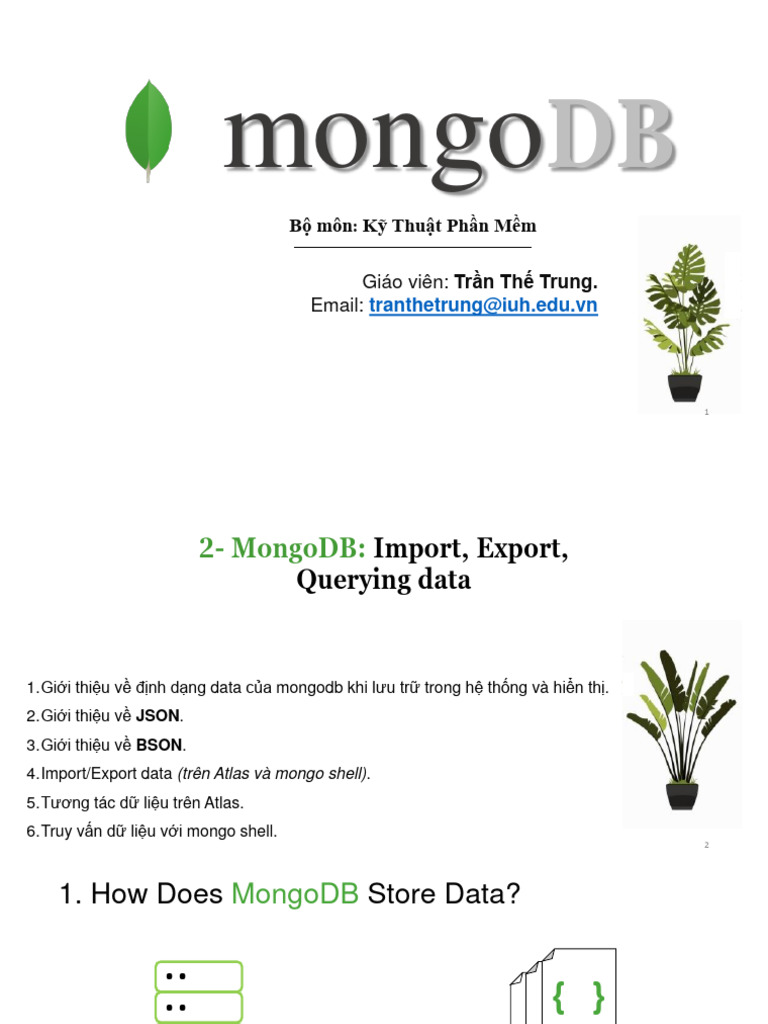 2 - Import - Export - Querying Data | PDF