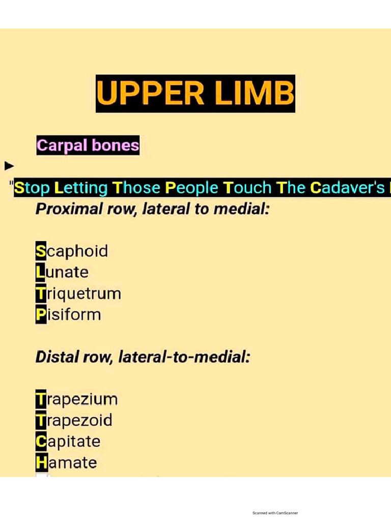 Gross Mnemonics | PDF