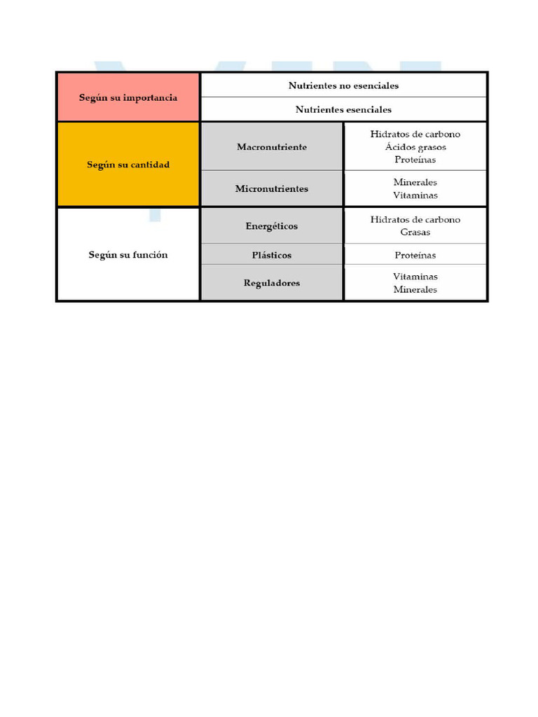 Componentes Alimentos | PDF