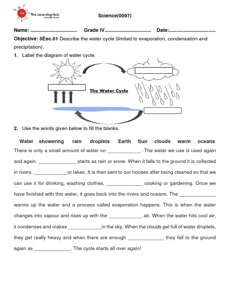 Grade 4 Water Cycle Worksheet | PDF | Water Cycle | Water