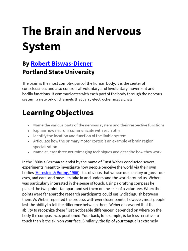 Understanding the Brain and Nervous System | PDF | Neuron | Nervous System